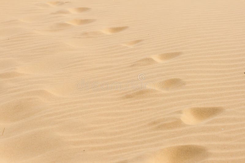 Footsteps in the Sahara Desert Stock Image - Image of desert, egyptian ...
