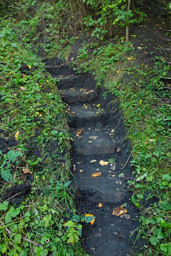 The Steps are Dug into the Black Soil on the Path or in the Garden ...