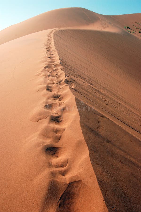 Footsteps in the Sahara Desert Stock Image - Image of footprint, sand ...