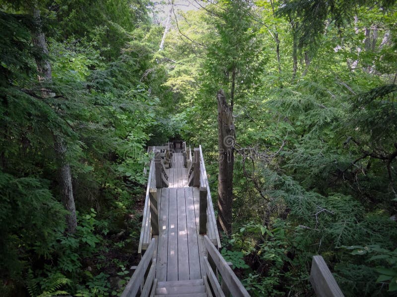 Steps from Fire Tower stock photo. Image of cloud, season - 47946340