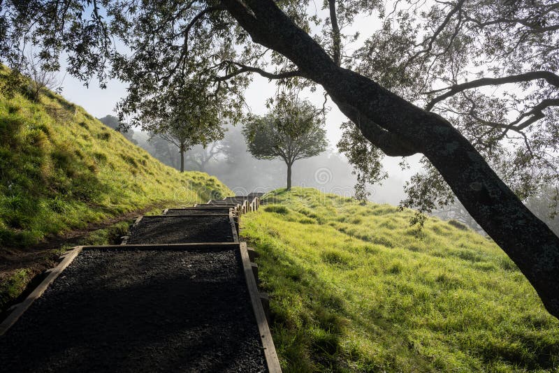 Steps Framed by Tree Branches at Mt Eden Summit Walking Track, Auckland ...
