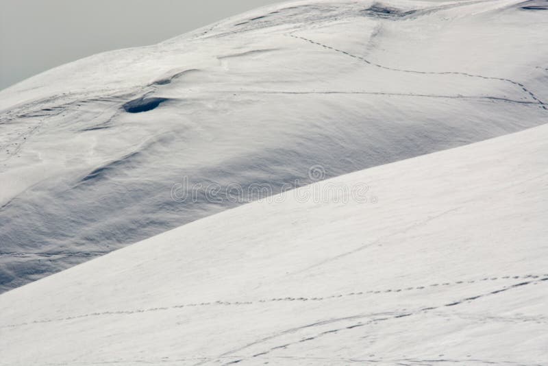 The Steps on the Fresh Snow in the High Mountains Stock Image - Image ...