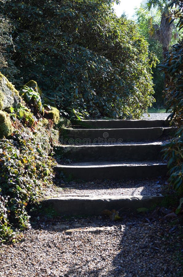 Steps in a garden. stock image. Image of footpath, path - 50346747