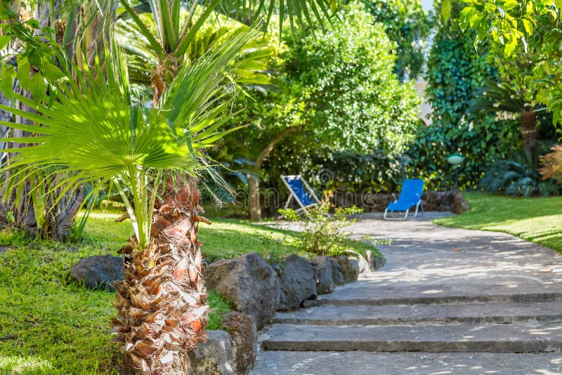 Steps in the green stock photo. Image of steps, branches - 193201232