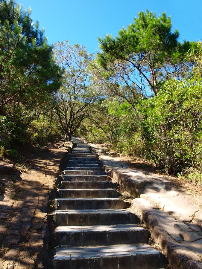 Steps on hiking trail stock photo. Image of hiking, holidays - 18115108