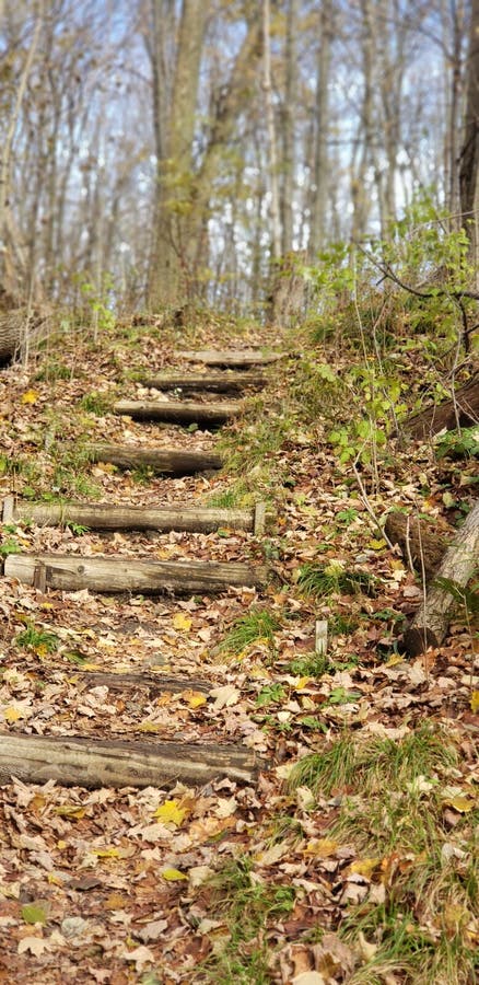 Steps on a hiking trail stock photo. Image of fall, trail - 135409918