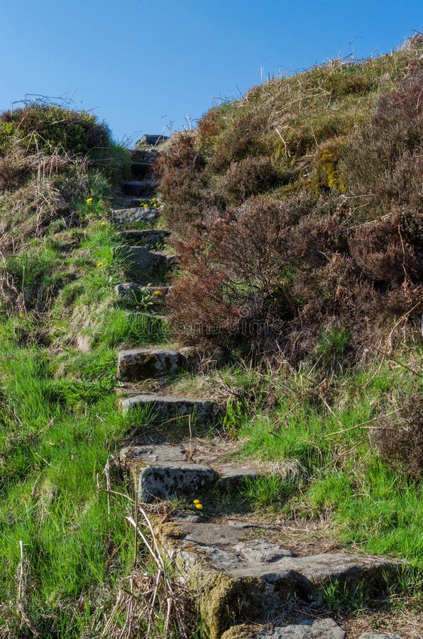 Steps Leading Up a Hillside on a Country Path Stock Image - Image of ...