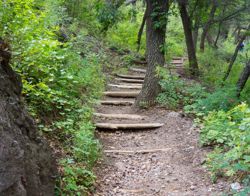 Steps Made with Logs in a Forest Stock Photo - Image of natural, summer ...