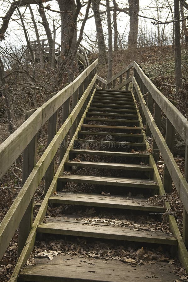 Steps, Steps and More Steps Stock Image - Image of northern, outdoors ...