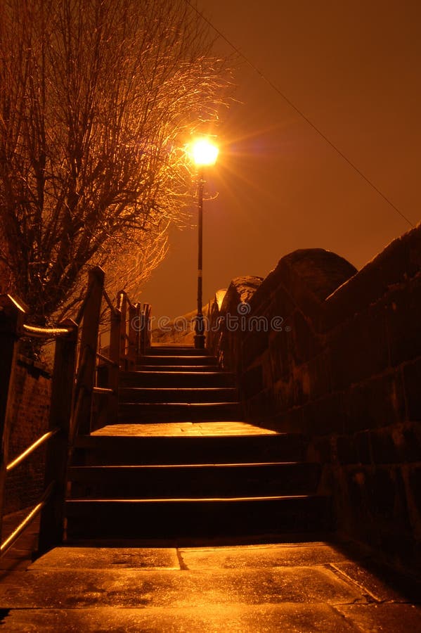 Forest Steps stock photo. Image of woods, fall, path, forest - 33480