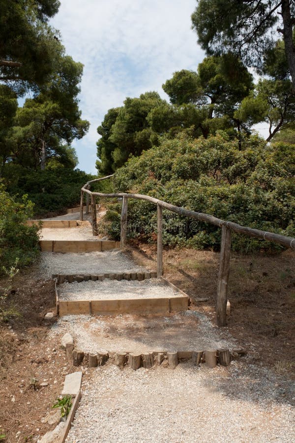 Steps in Park stock photo. Image of stairs, descend, pine - 23240950