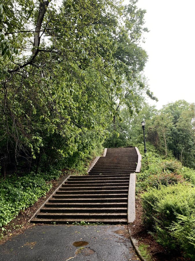 Steps in a park stock photo. Image of summer, weather - 199891380