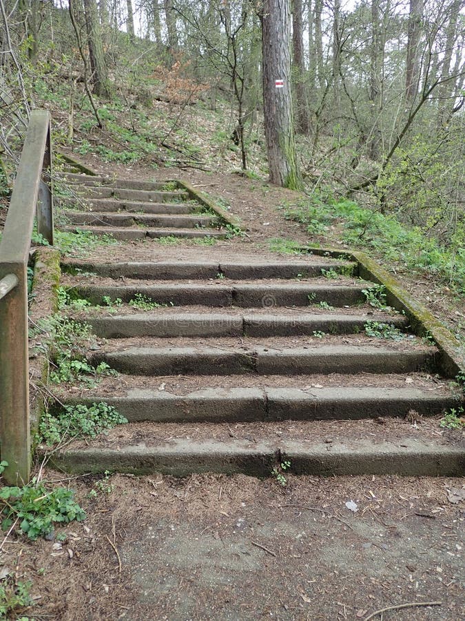 Steps in a park walk route stock image. Image of outdoors - 274691553