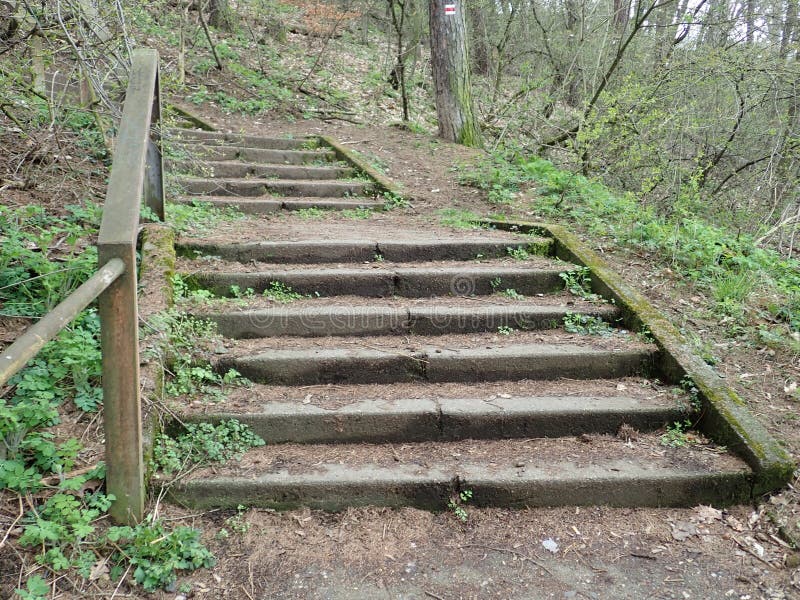 Steps in a park walk route stock image. Image of landscape - 274691559