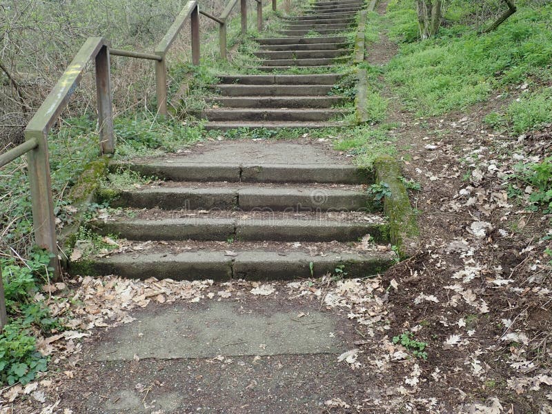 Steps in a park walk route stock image. Image of step - 274691601
