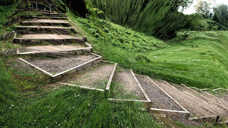 Steps on a path in woods. stock photo. Image of steps - 73662402