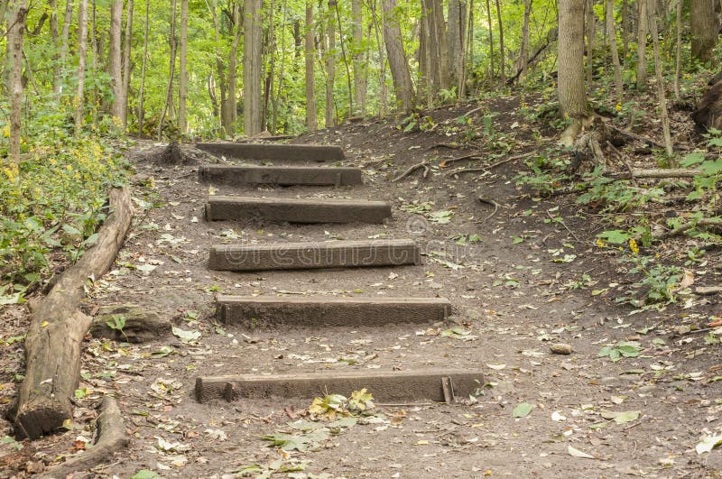 Steps on the Path stock image. Image of hike, natural - 78943311