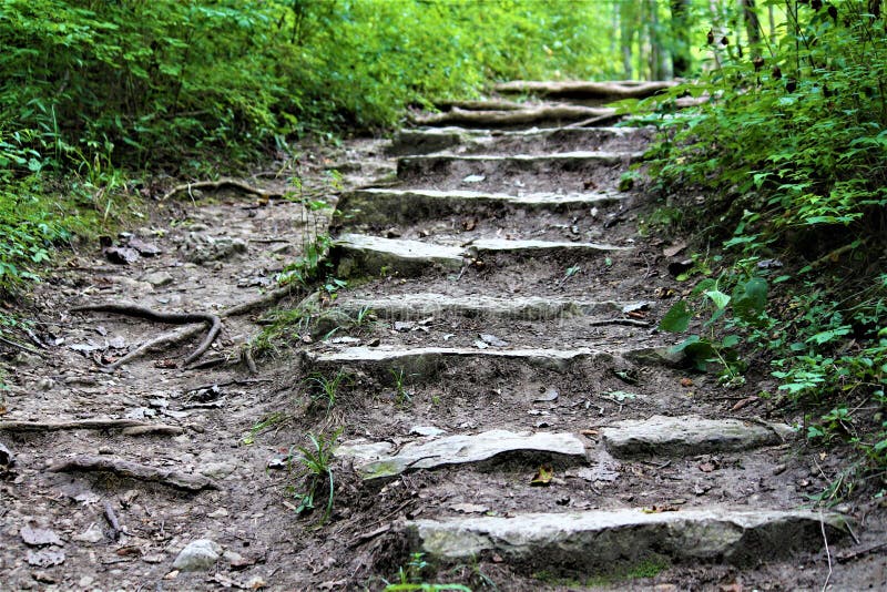 Steps on the Path stock photo. Image of outdoor, dirt - 98688416