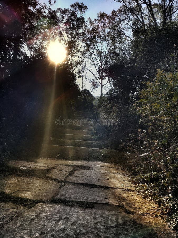 Steps Path and sunrays stock image. Image of growth - 229555651