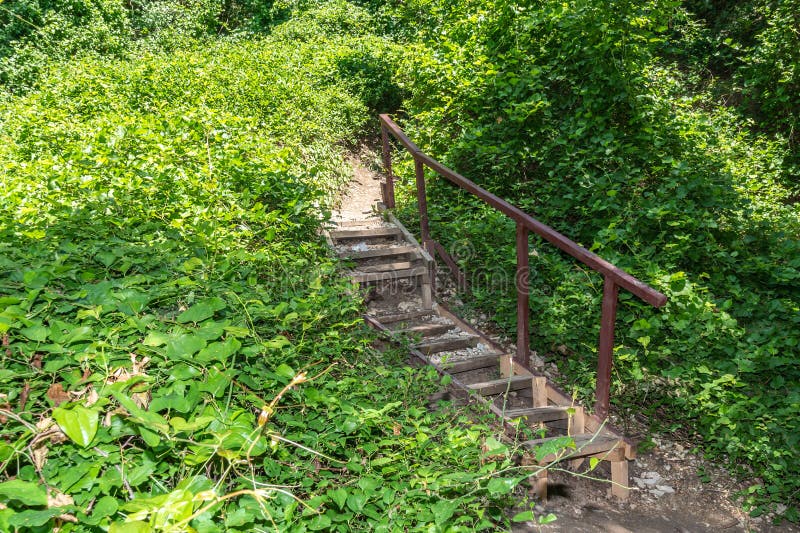 Steps on the Path To the Mountain Stock Photo - Image of step ...