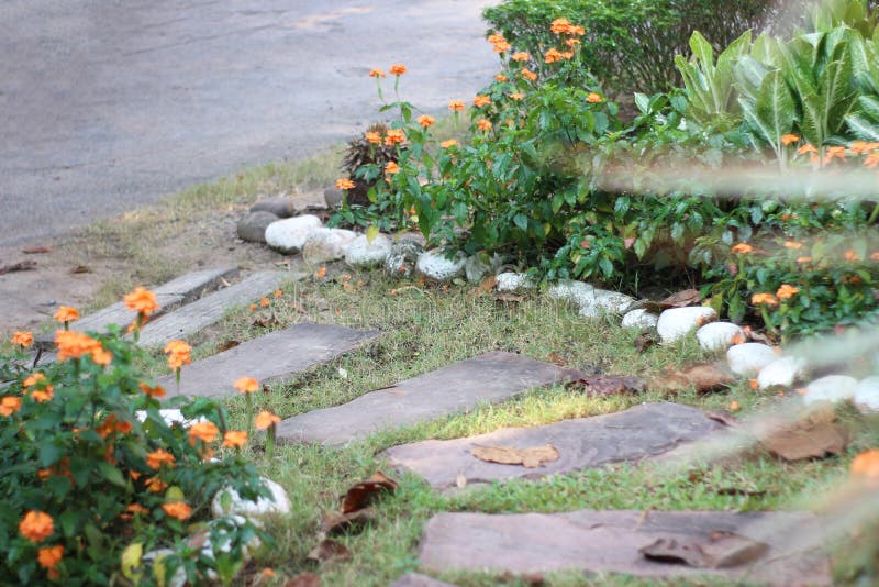 Steps Pathway and Flowers in Garden Stock Photo - Image of garden ...