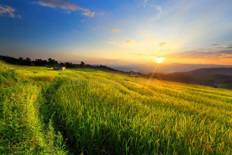 Steps rice field stock image. Image of landscape, east - 35613881