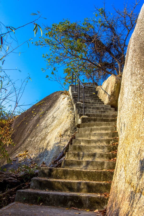 Steps in the Rocks and Tree Stock Photo - Image of plant, environment ...