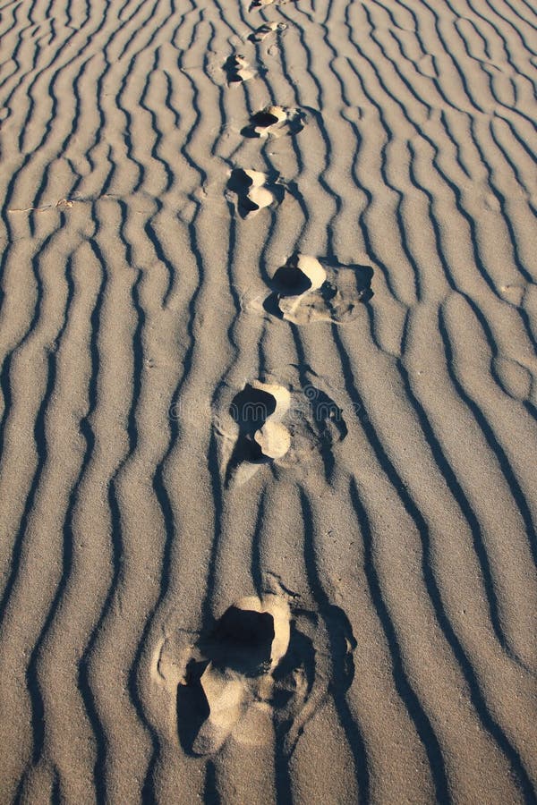 Steps in the sand stock photo. Image of desert, shadow - 17158774