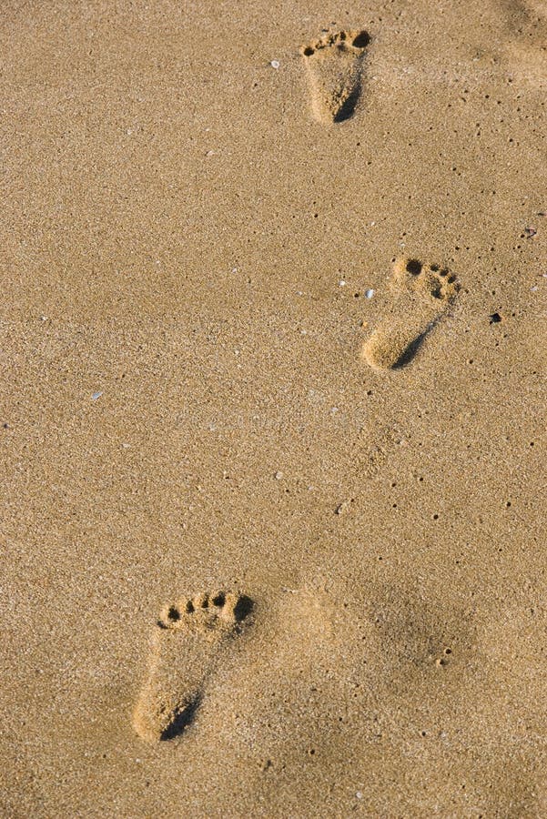 Footsteps in the sand stock photo. Image of textured, barefoot - 1766208