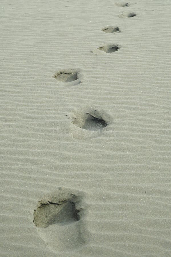 Steps in sand stock photo. Image of step, steps, footstep - 44212096