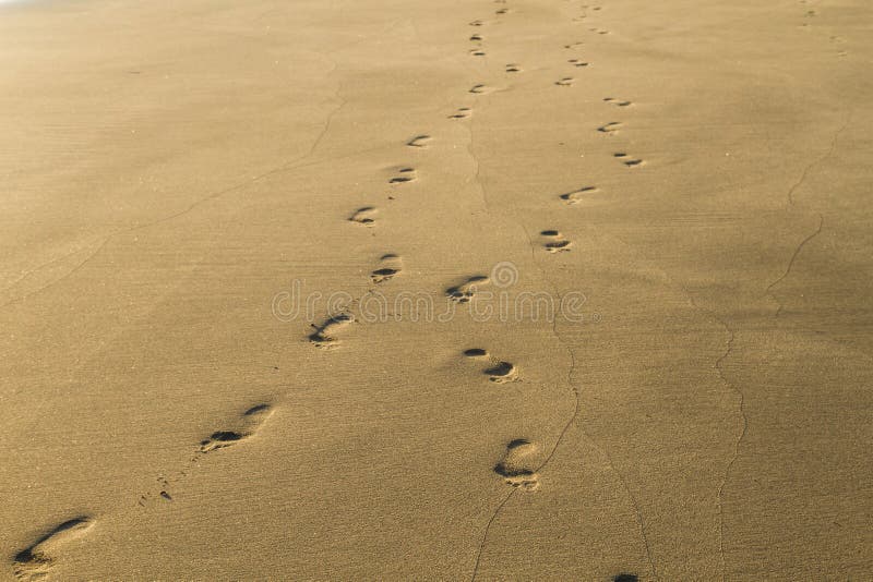 Steps on the sand stock image. Image of coastline, environment - 190385289