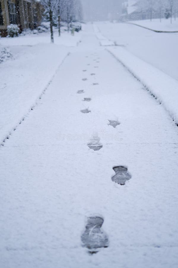 Steps in the Snow stock image. Image of blizzard, condos - 173372095