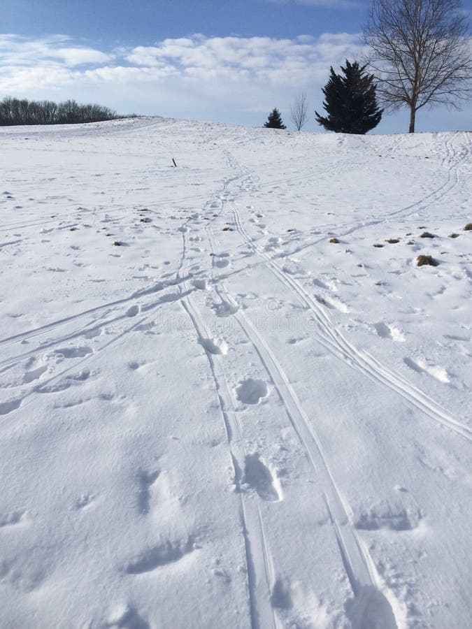 Steps in the snow stock photo. Image of city, vienna - 49949216