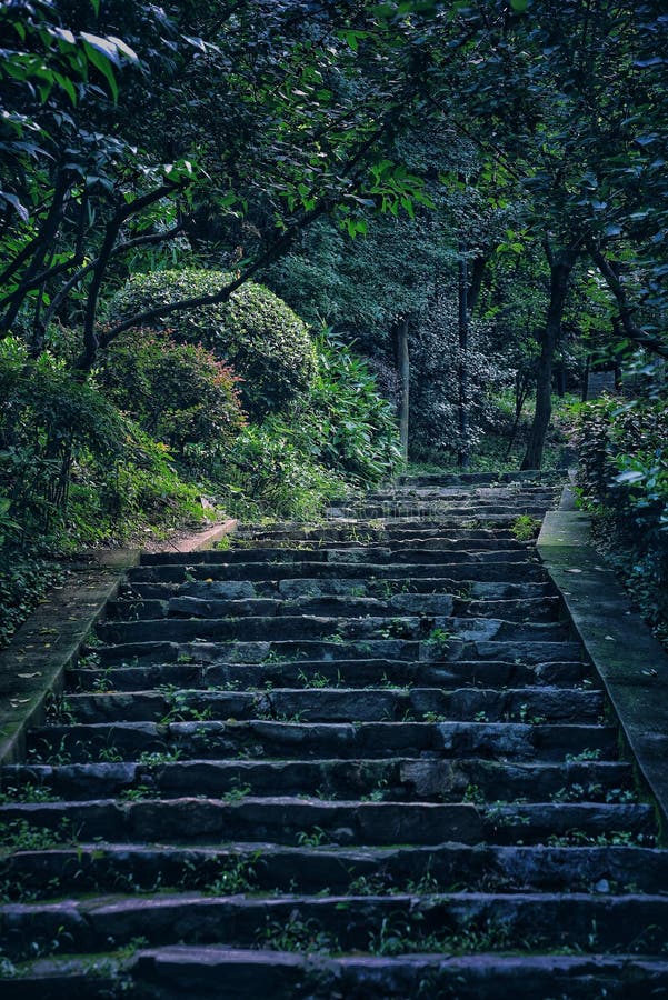 Steps stock image. Image of steps, path, nature, stone - 284792777