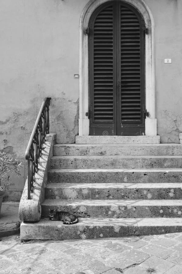 Steps in summer stock image. Image of stone, steps, traditional - 96158759