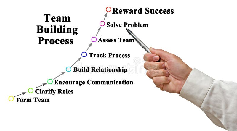 Team Building Process stock photo. Image of assess, encourage - 174967436