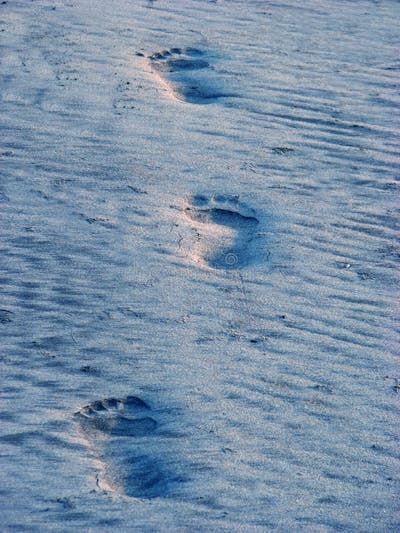 Steps in Time stock image. Image of imprints, explorer - 4770117