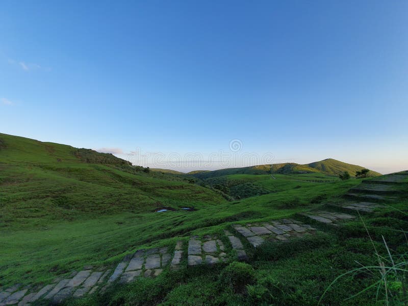 Steps to the nature stock photo. Image of hill, steps - 155585086