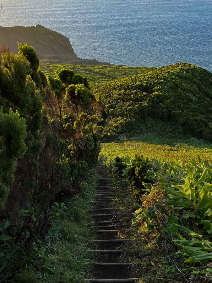 Steps to the ocean stock image. Image of terrain, road - 273280301