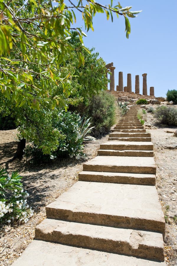 Steps to Temple stock photo. Image of history, memorial - 20987548