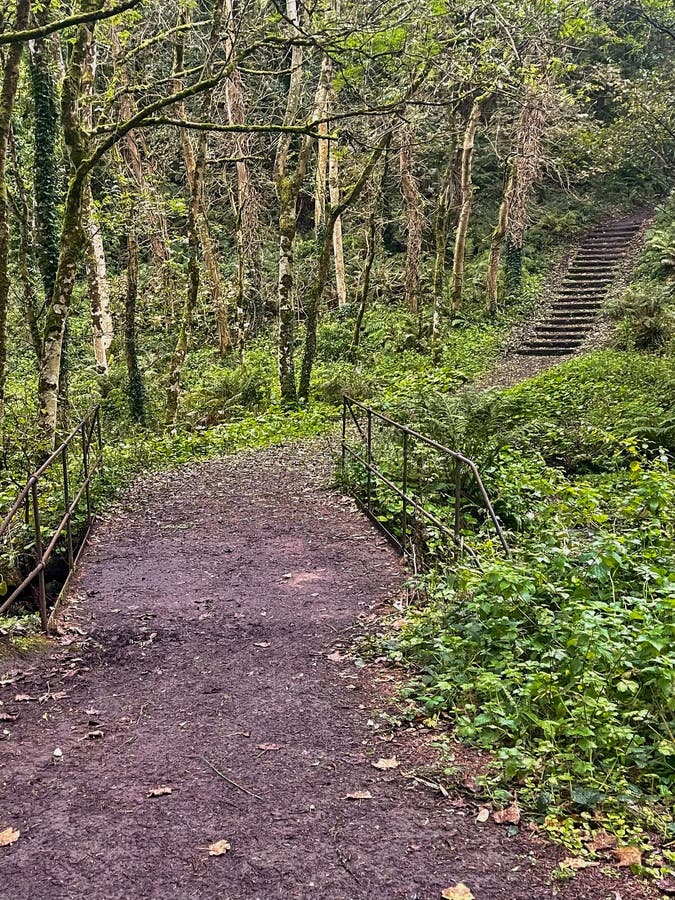 Steps and Trail at Glenariff Forest Park Stock Image - Image of bridge ...