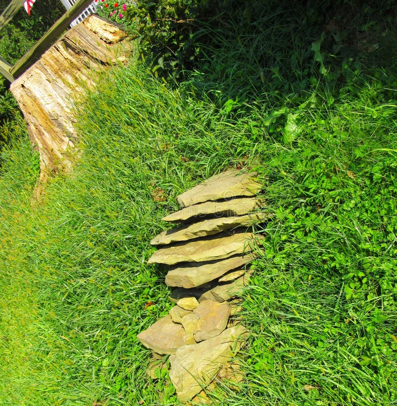 Steps up hillside stock image. Image of nature, backyard - 256064479