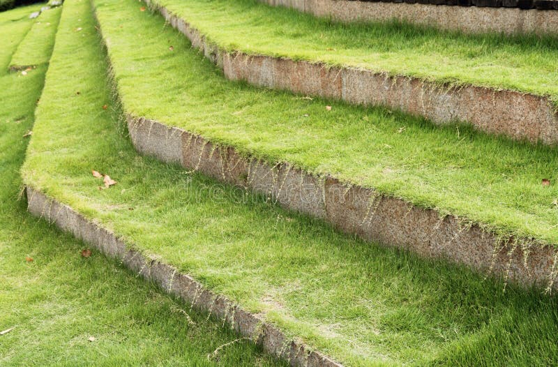 Steps stock image. Image of nature, geometry, grass, step - 51735831