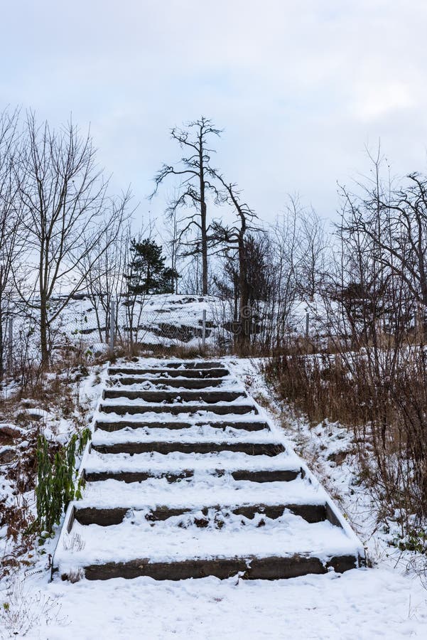 Steps of Wooden Stair in Winter Stock Image - Image of natural ...