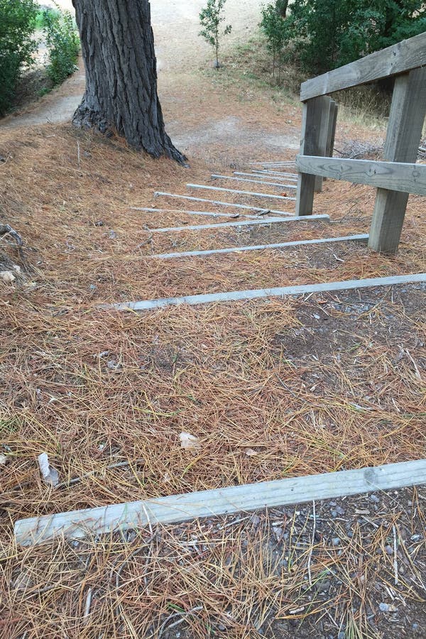 Steps with Wooden Supports Leading Down a Forest Walking Track Stock ...