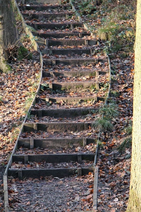 Steps on a Woodland Pathway. Stock Photo - Image of earth, track: 320028320