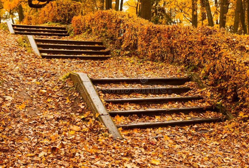 Steps in Yellow Leaves in Autumn Stock Image - Image of orange, stairs ...