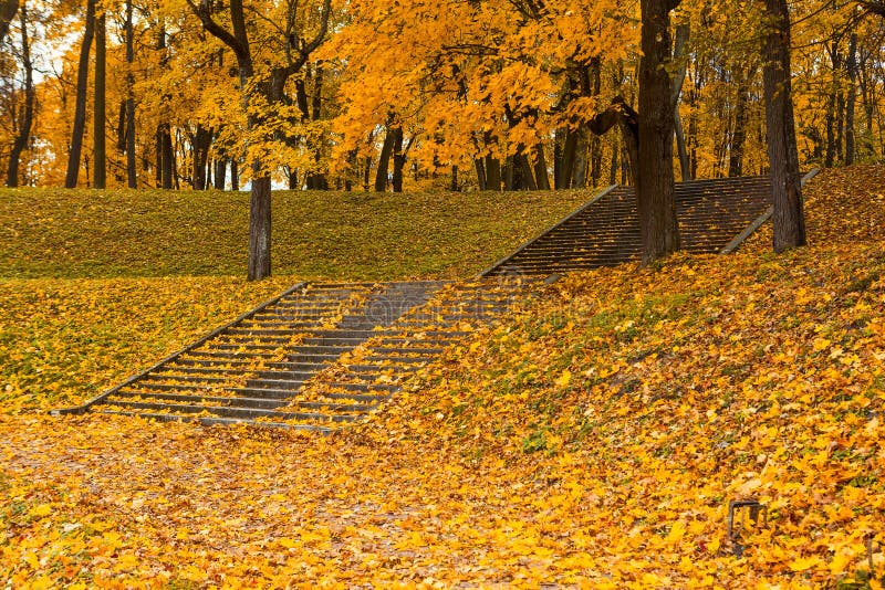 Steps in Yellow Leaves in Autumn Stock Photo - Image of path, nature ...