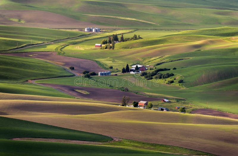Steptoe Butte-Nationalpark stockfoto. Bild von malerische - 41339208