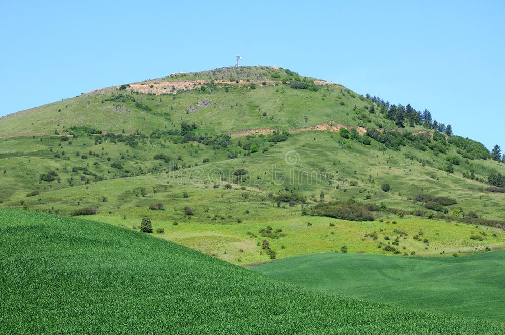 Steptoe butte summit stock photo. Image of steptoe, rounded - 19909218